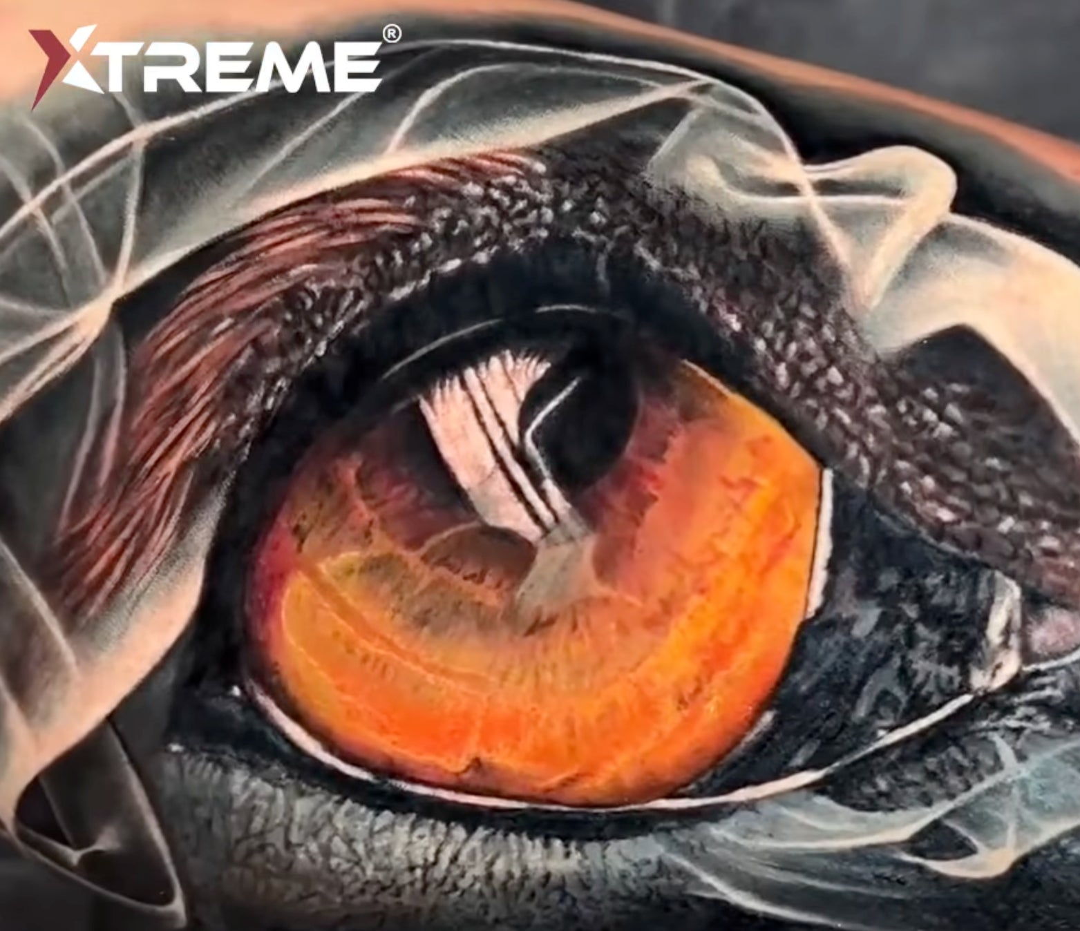 Creating Translucent Tattoo Effects: Techniques and Tips – Xtreme Inks